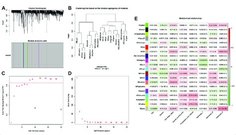 Weighted Co Expression Network Analysis A Hierarchical Clustering