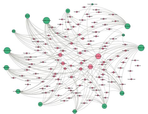 using gephi for data visualization digital scholarship