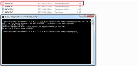 hiding data using white space steganography