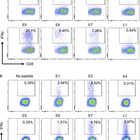 Representative Facs Plots Showing Hpv Specific Cd8⁺ And Cd4⁺ T Cell