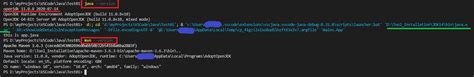 using alternative maven and java version in vscode