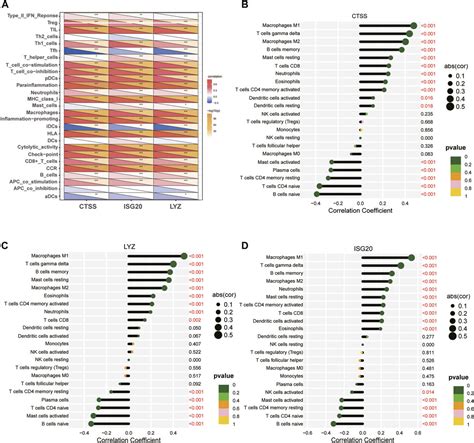 Frontiers Identification Of Immune Related Molecular Clusters And