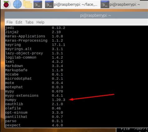 troubleshoot numpy and h5py errors when compile face mask