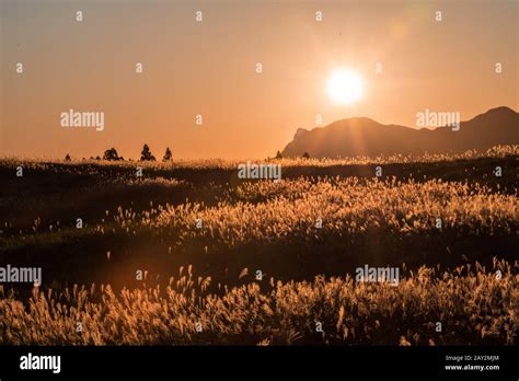 Golden Hour Fine Day Evening Time In Autumn The Sunlight Was
