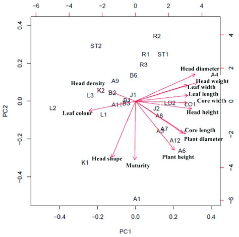Morphological Data Principal Component Analysis Pca Biplot Where The