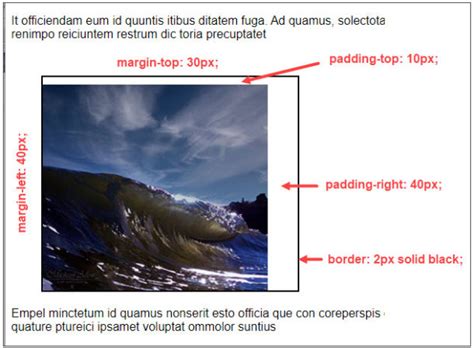an introduction to margins and padding in css and html udacity