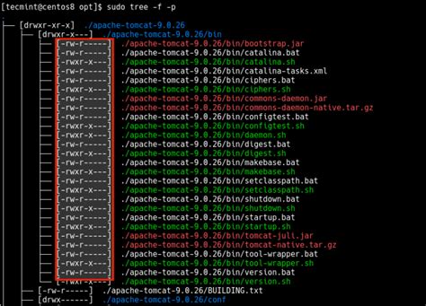 linux ‘tree command usage examples for beginners