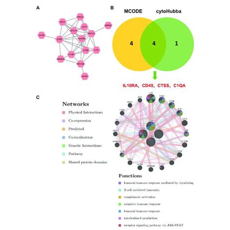 Identification Of Hub Genes For Ckd A Ppi Network Of Key Genes B