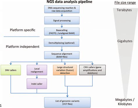 general schema for bioinformatics workflow for next generation