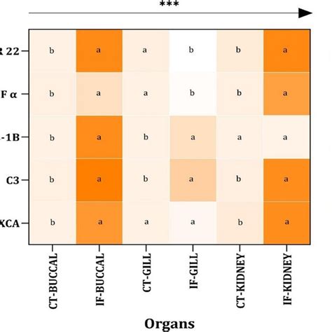 Heat Map Of Relative Expression Of Different Immune Related Genes In