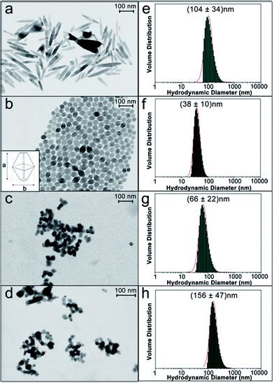 Shape Engineered Tio 2 Nanoparticles In Caenorhabditis Elegans A