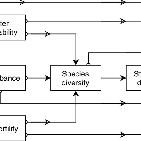 Conceptual Directed Acyclic Graph Dag Showing The Theoretical