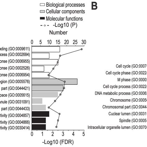 Go Classification Of Common Degs In The Listed Categories Top 5