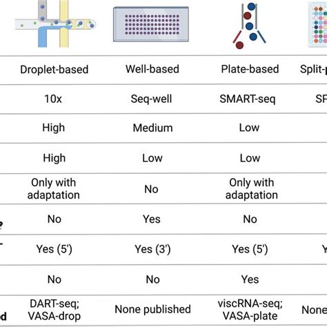 Table Summarizing The Advantages And Disadvantages Of Different
