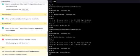 faq manipulation wildcards command line faq codecademy forums