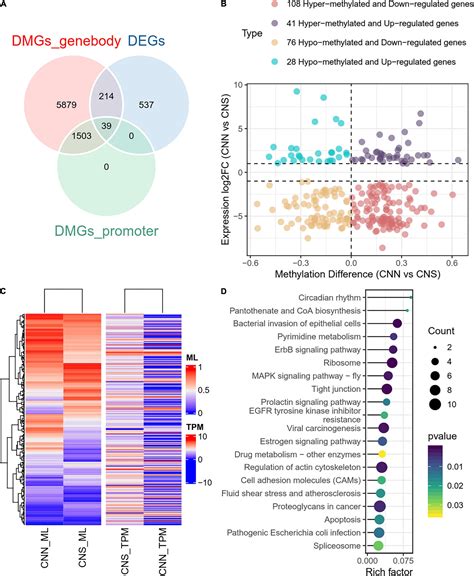 Frontiers Comparative Transcriptome And Dna Methylation Analysis Of