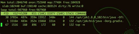 memory analysis of a spring boot application in docker