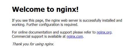instalar o nginx no ubuntu 19 san