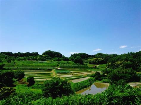 なぜ明日香村には、日本の原風景が残されているのか 【公式ブログ】奈良・大和八木「ゲストハウスはじまり」