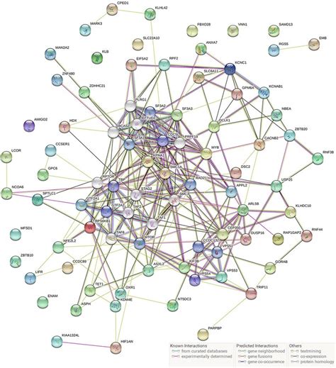 The Functional Protein Association Network Enriched By String The