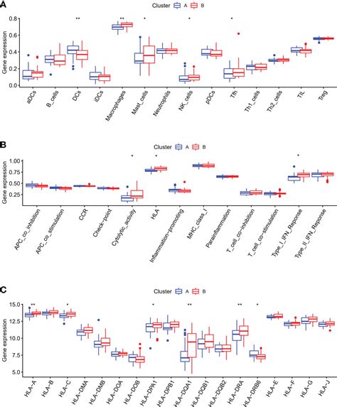 Frontiers Comprehensive Analysis Of M6a Rna Methylation Modification