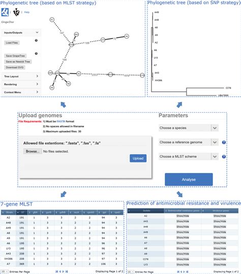A Screenshot Of The Multiple Genome Analysis Analytical Tool Interface
