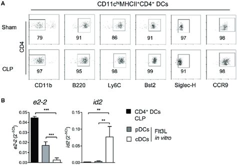 Cd11c Hi Mhcii Cd4 Dcs Express Markers Of Pdcs 36 H After Sham