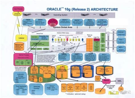 【图示篇】 Oracle 10g 11g 12c 18c结构图 墨天轮