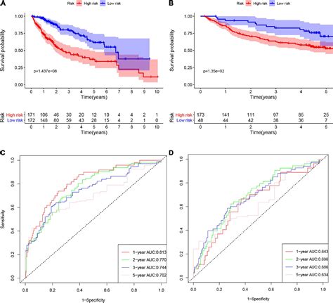 Frontiers Identification And Validation Of A Nine Gene Amino Acid