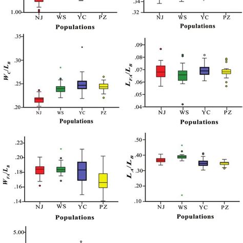 The Morphological Differences Of Individuals Of P Clarkii Populations