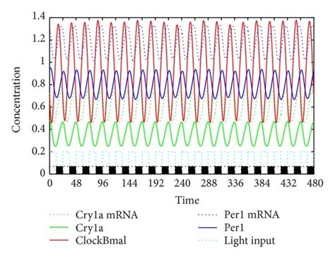 Stochastic Versus Deterministic Simulations Under Different Light