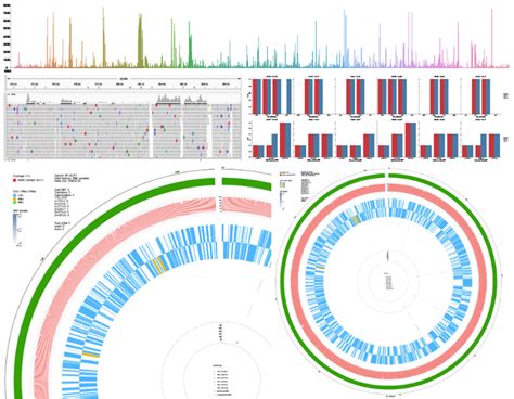 Wgs 全基因组测序 Wes 全外显子组测序 Wgrs 全基因组重测序 分析与可视化教程 知乎