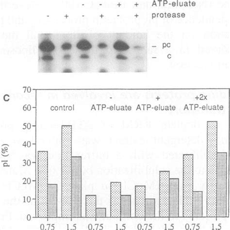 Microsomal Atp Binding Proteins Are Involved In The Transport Of