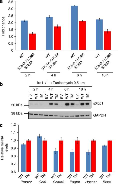Activation Loop Phosphorylation Mutants Retard Splicing And Ridd