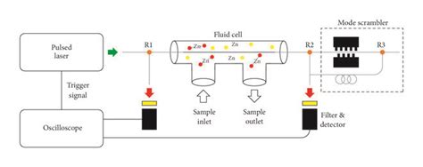 Illustration Of Optical Setup For Aml Measurements The Dashed Box