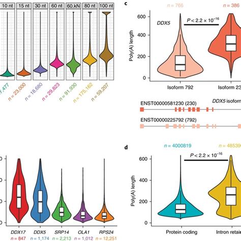 Nanopore Native Poly A Rna Sequencing Pipeline A Rna Is Isolated From