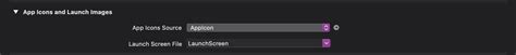 ios missing cfbundleiconname in xcode app release