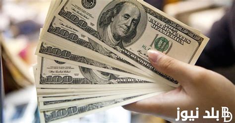 تذبذب الاخضر ‎500 دولار كم جنيه مصري في السوق السوداء؟ تعرف على سعر