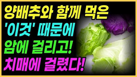 독을 먹는 겁니다 양배추와 절대로 함께 먹지마세요 암과 치매에 걸릴 수 있습니다 ㅣ혈당 잡는 양배추의 놀라운 효능 ㅣ