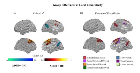 A Differences In Local Functional Connectivity Between Adults With