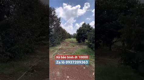 Bán đất Xã Bảo Bình Dt 1 Mẫu Đất đỏ đất Hồng Cách Chợ Bảo Bình 400m