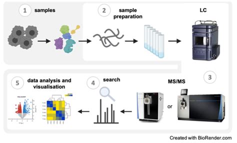 Cf Proteomics Leibniz Institute On Aging Fli