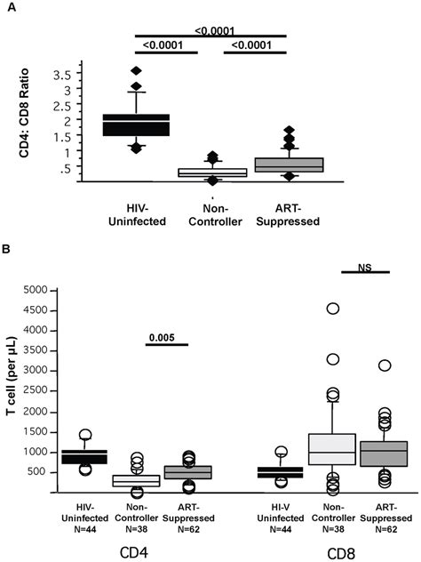 Cd4∶cd8 T Cell Ratio Cd4 And Cd8 T Cell Counts Were Enumerated Among
