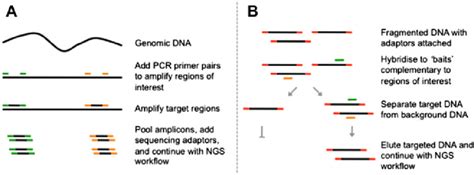Two Methods For Target Dna Enrichment A Pcr Enrichment Primer Pairs