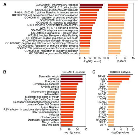 Functional Enrichment And Annotation Analysis A Top 20 Categories