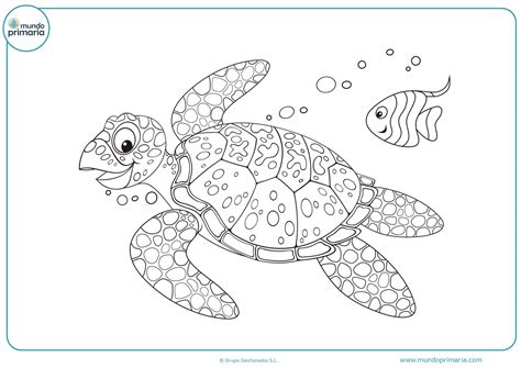 Tortuga De Mar Para Colorear