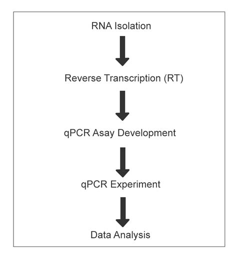 Rna Isolation For Real Time Pcr Bio Rad