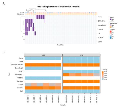 Cancers Free Full Text A Comparison Of Tools For Copy Number