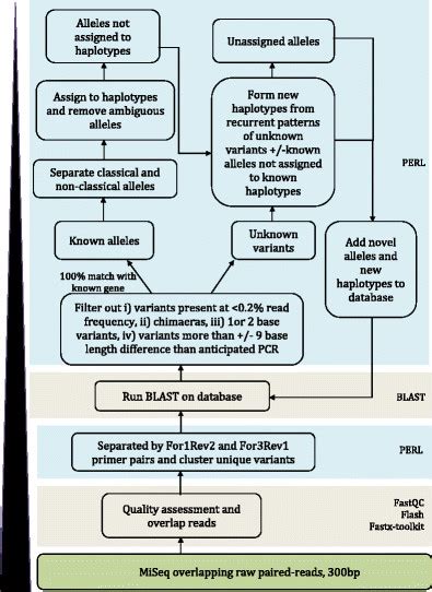 Schematic Representation Of The Bioinformatics Workflow Developed To