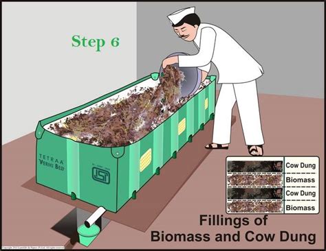 Vermicomposting Step By Step Procedure Farmer Junction